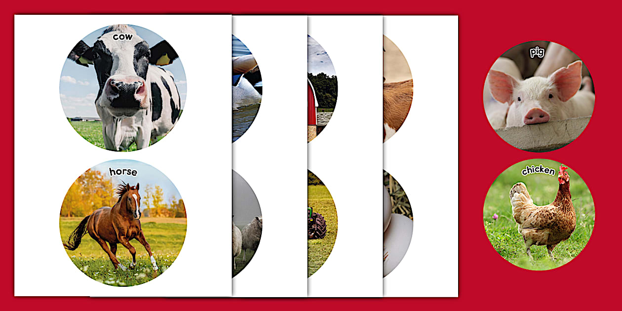 Printable Farm Animal Cutouts for PreK | Twinkl USA - Twinkl