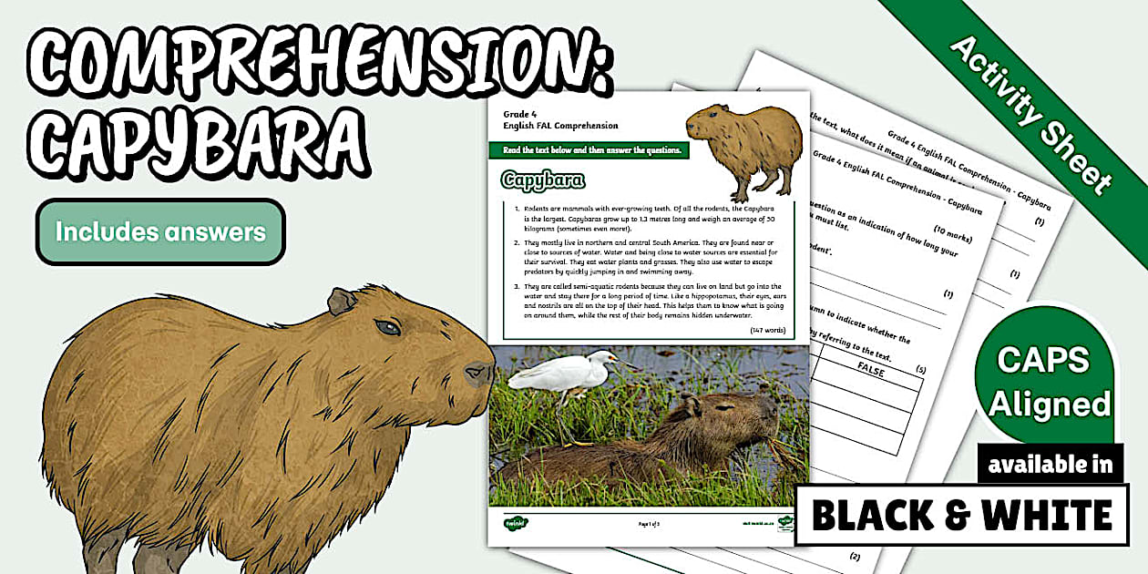 Grade 4 English Comprehension: Capybara Activity (CAPS)