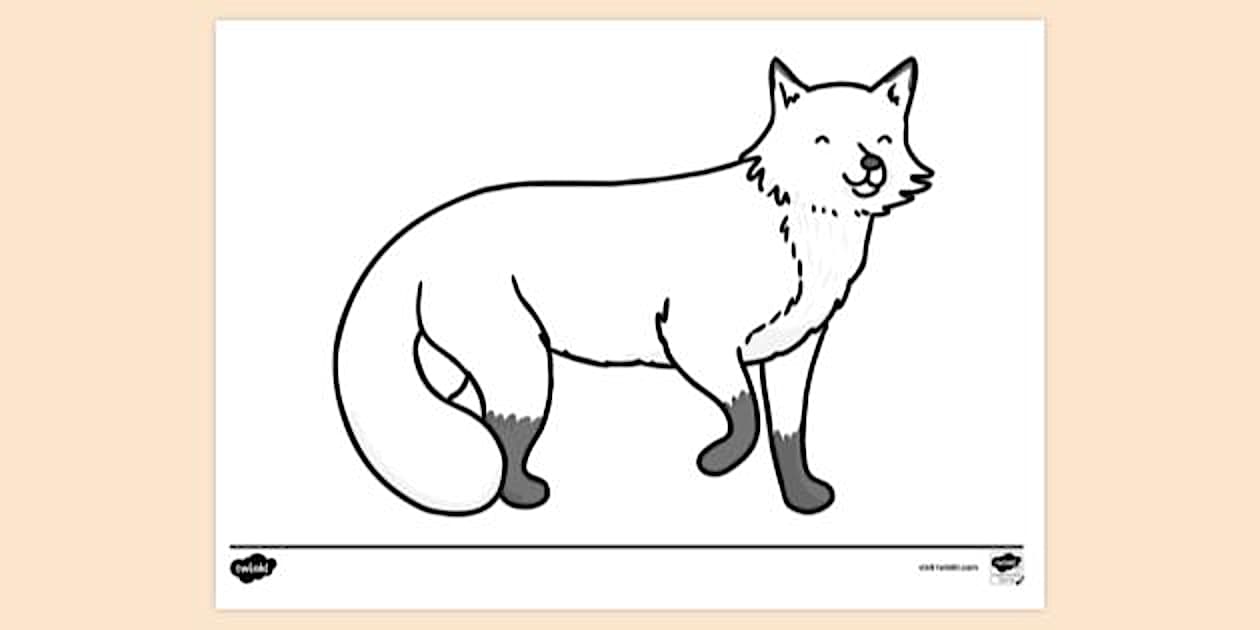 Cartoon Fox Colouring | Colouring Sheets - Twinkl