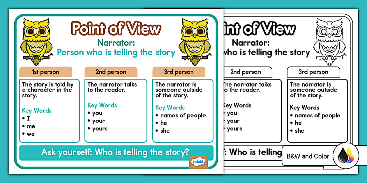 Point of View Poster - English Resource - Twinkl