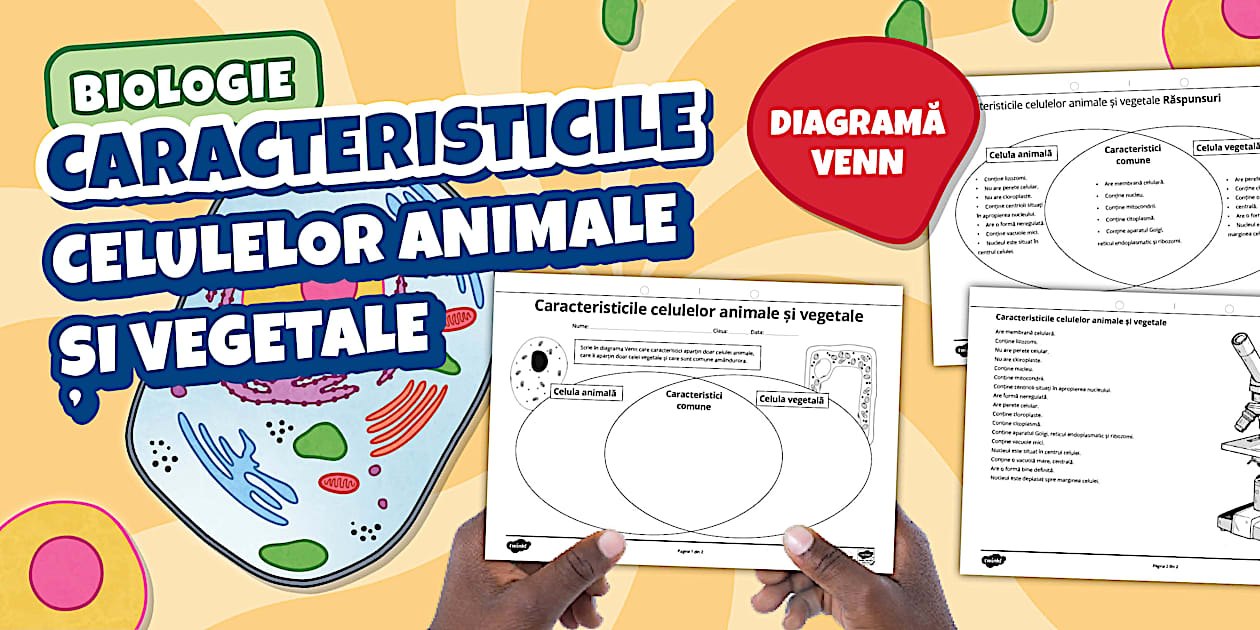 Fișă Caracteristicile celulelor animale și vegetale