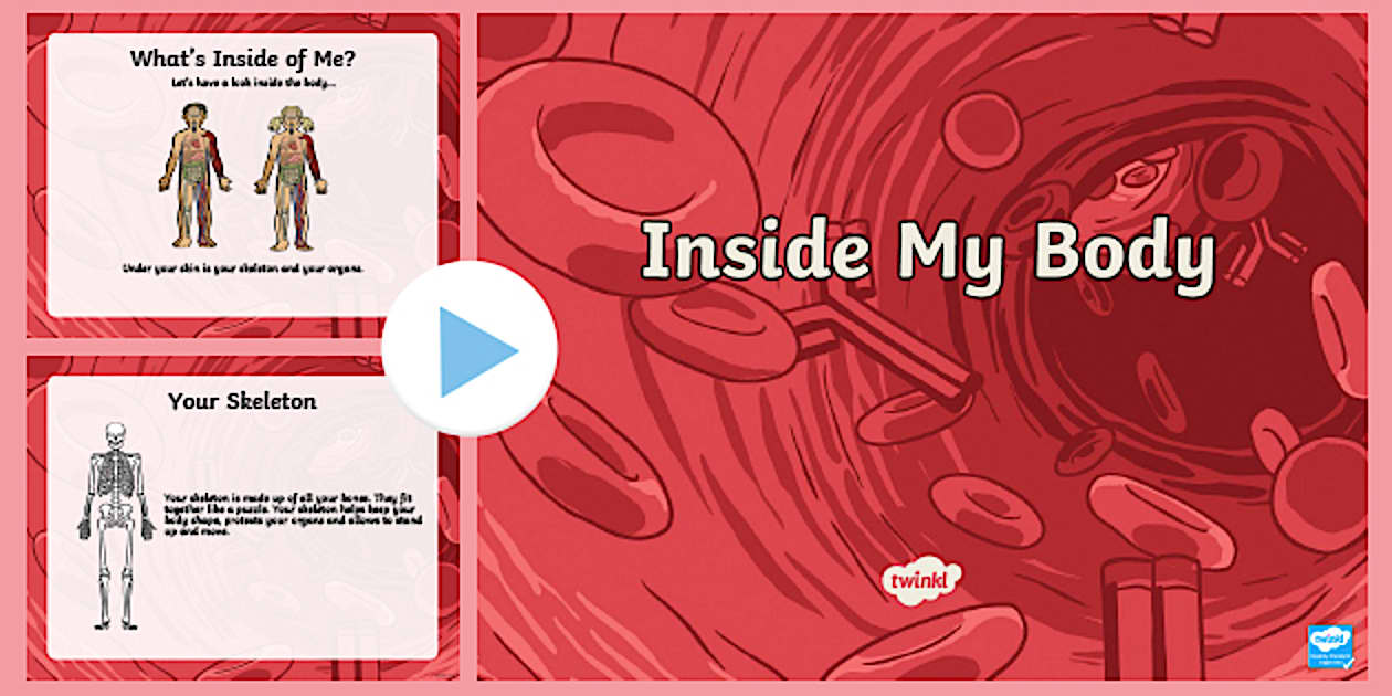 Inside My Body PowerPoint (teacher made) - Twinkl