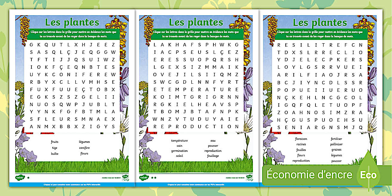 PDF interactif de mots mêlés sur les fleurs (teacher made)