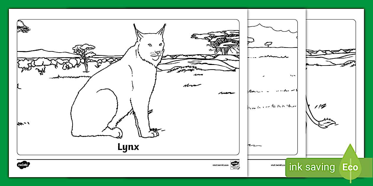 Big Cat Colouring Pages (Teacher-Made) - Twinkl