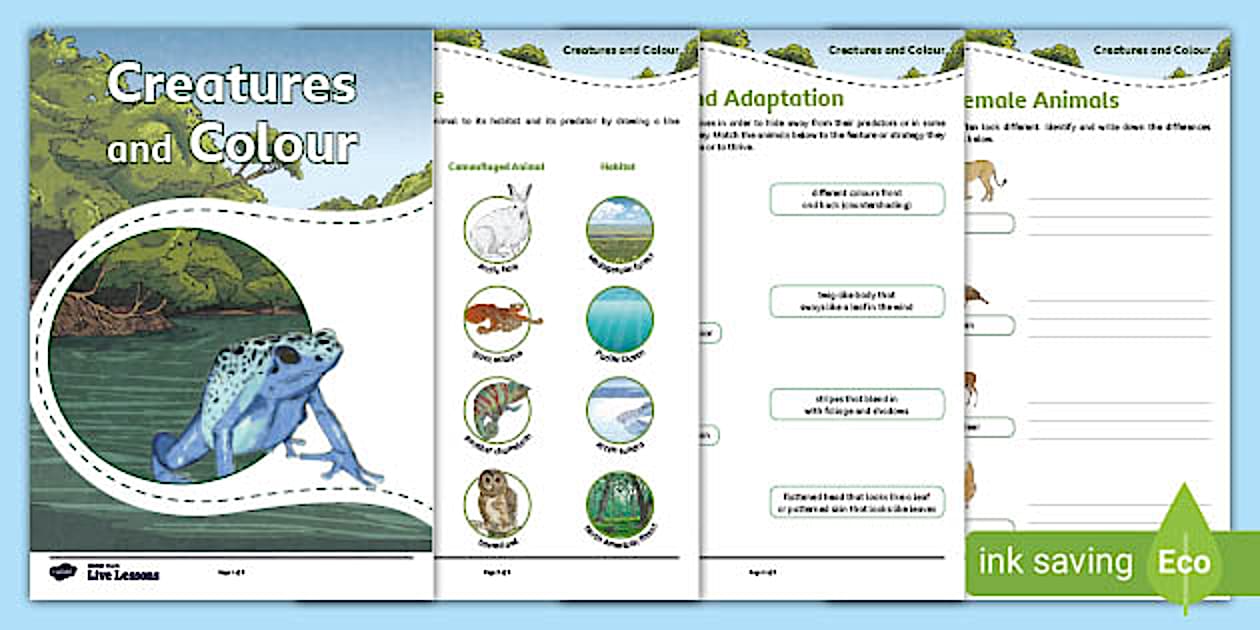 FREE! - BBC Teach Primary Science: Creatures and Colour Age Group 7-9 ...