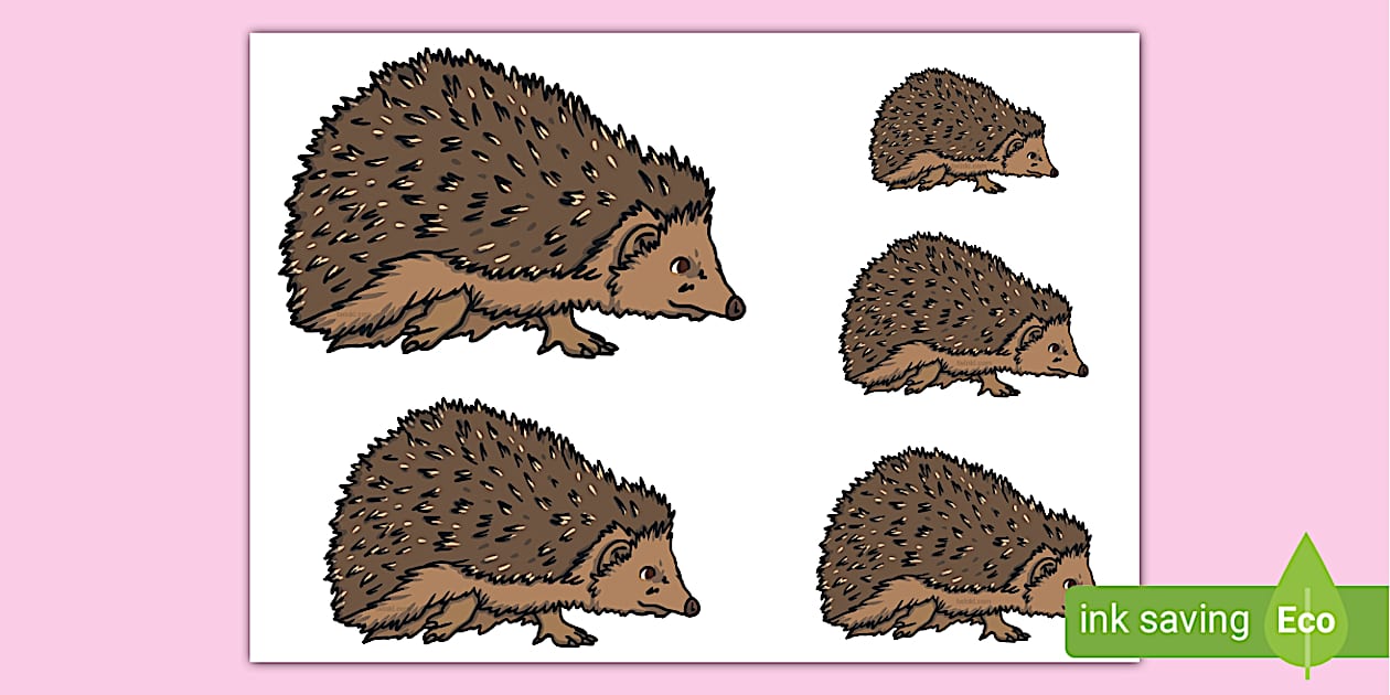 Hedgehogs Size Ordering - Twinkl - KS1 (teacher made)