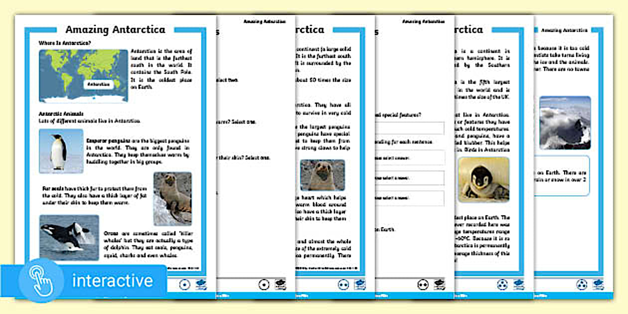 Interactive PDF Year 2 Amazing Antarctica Differentiated Reading ...