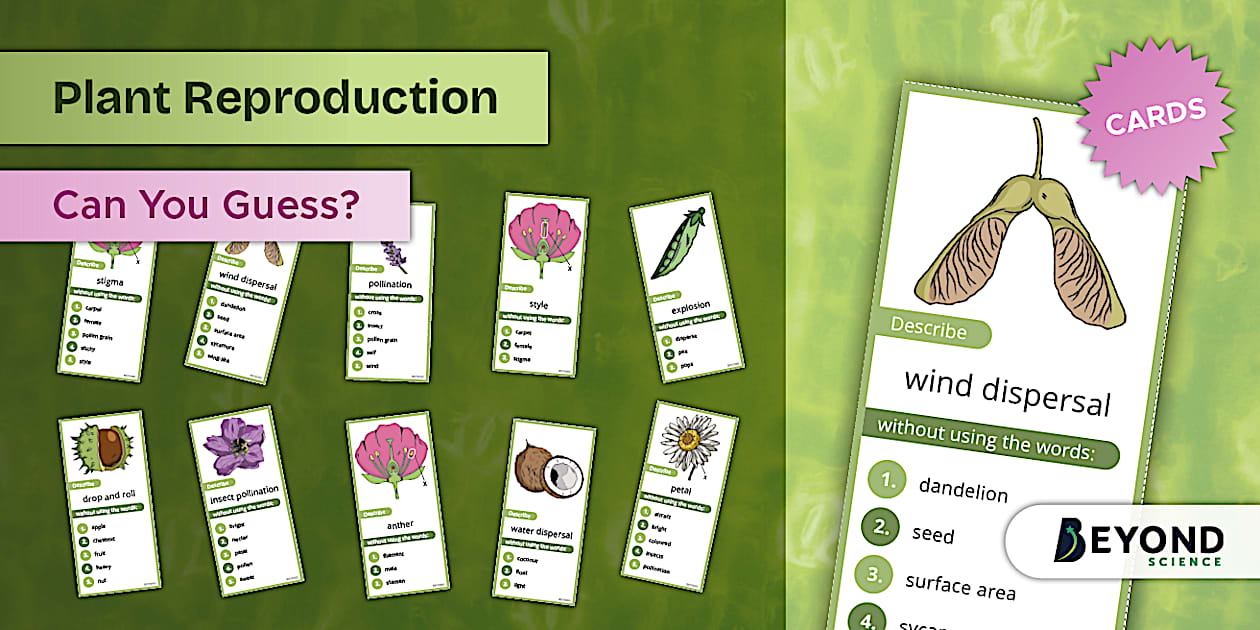 Plant Reproduction Can You Guess? Cards | Beyond Science
