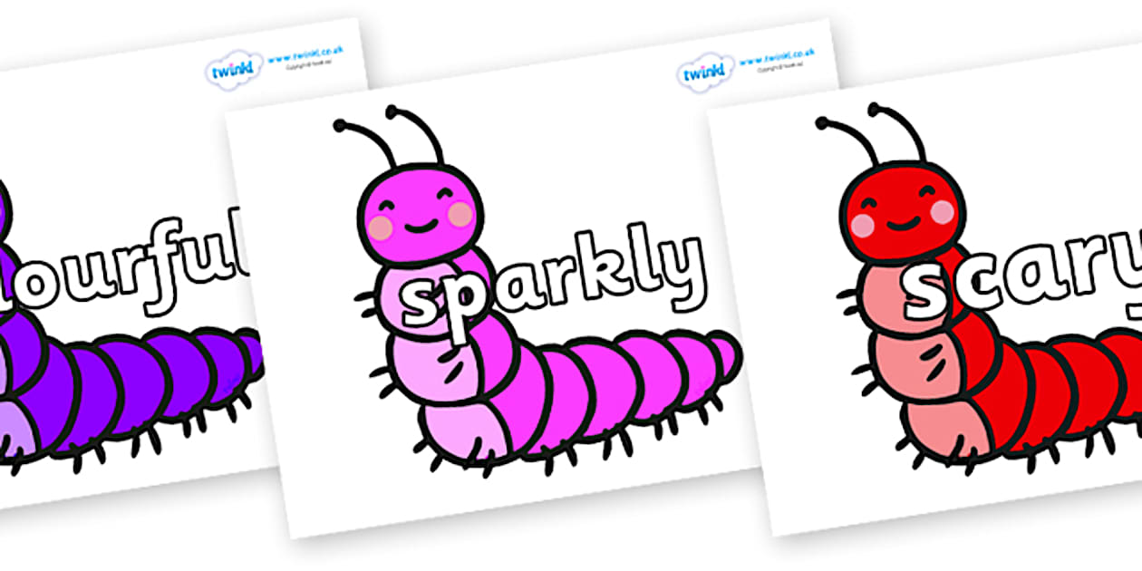 Wow Words on Caterpillars (teacher made) - Twinkl