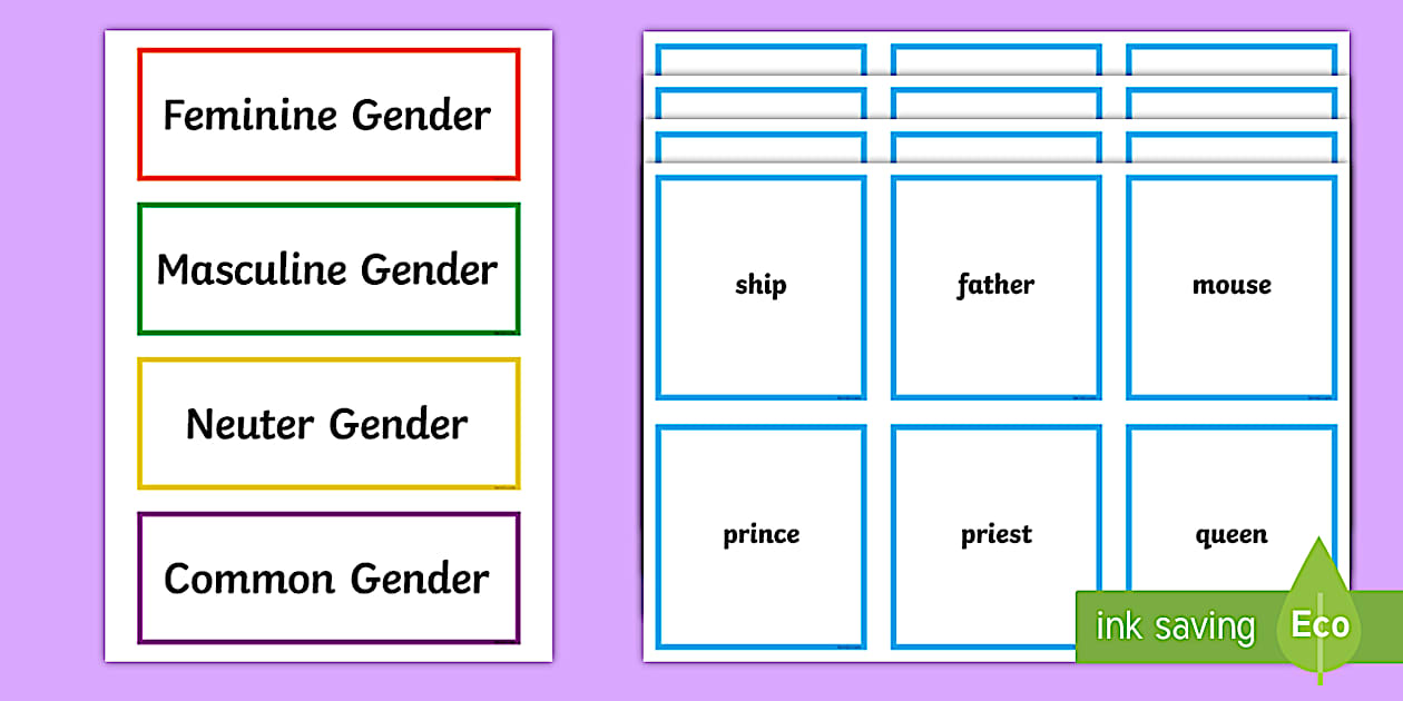 Gender of Nouns Sorting Cards - Twinkl
