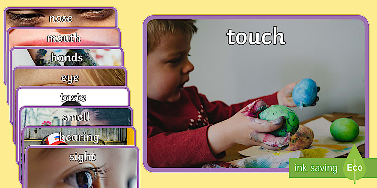 Editable My Senses Display Photos (teacher made) - Twinkl
