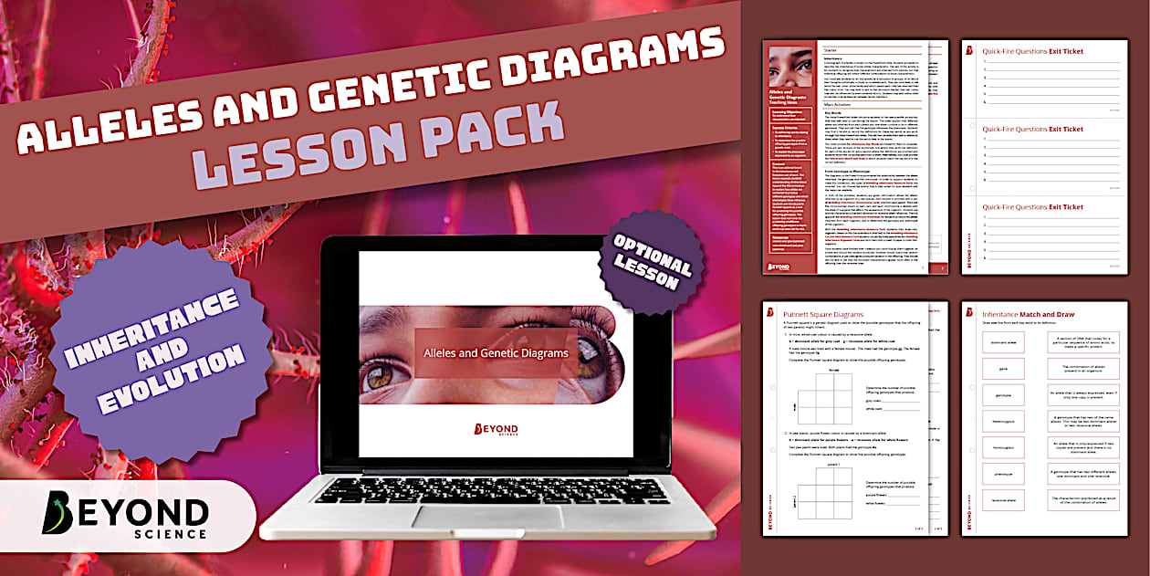 KS3 Alleles and Genetic Diagrams Lesson Pack | Beyond