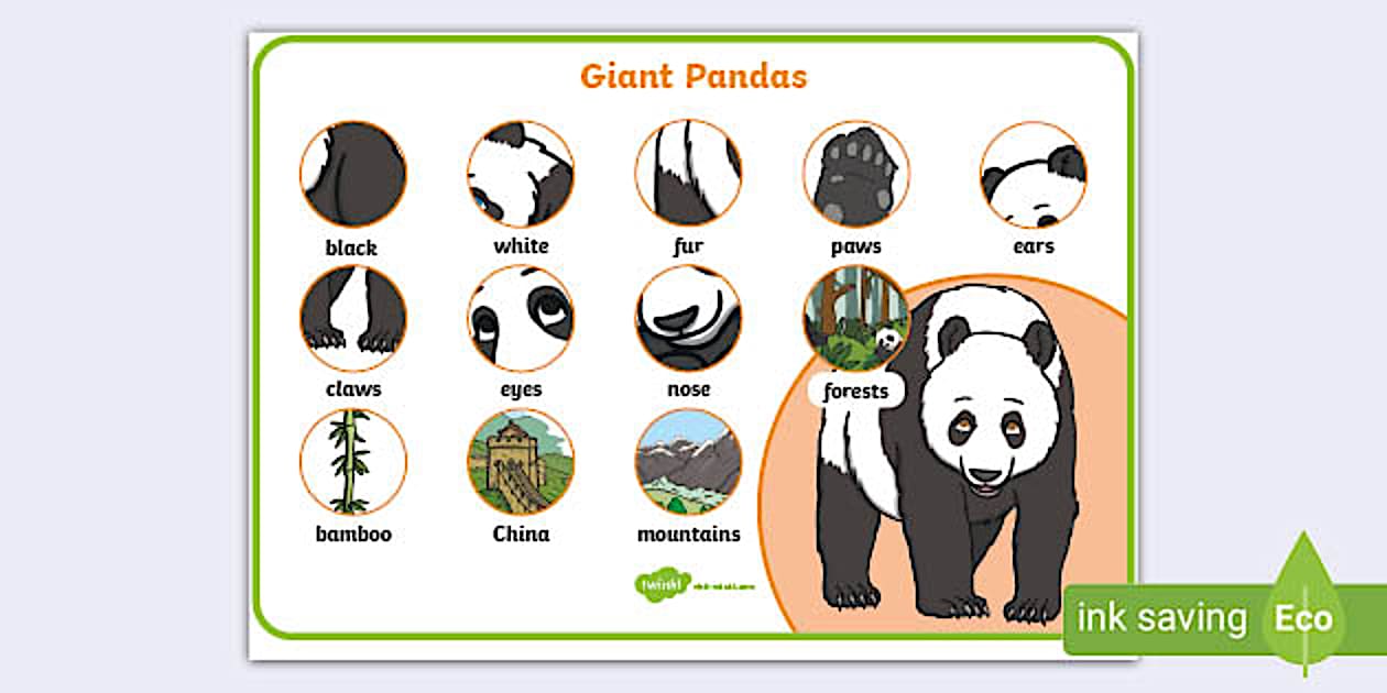 The Giant Panda - Word Mat - KS1 (Teacher-Made) - Twinkl