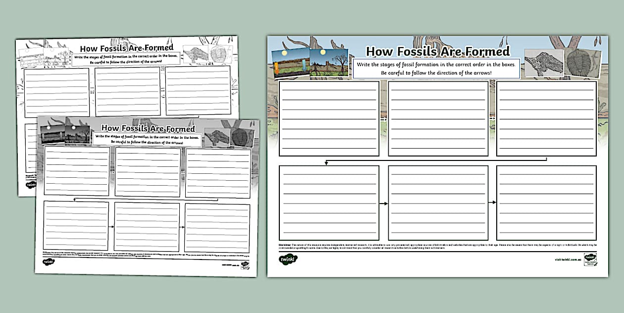 How Fossils Are Formed Sequencing Mind Map (teacher made)