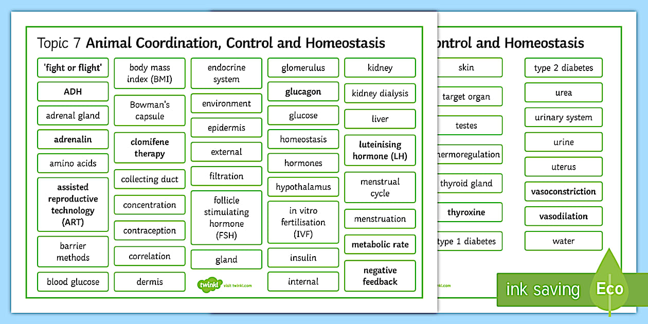 Edexcel Biology Animal Coordination, Control and Homeostasis Word Mat