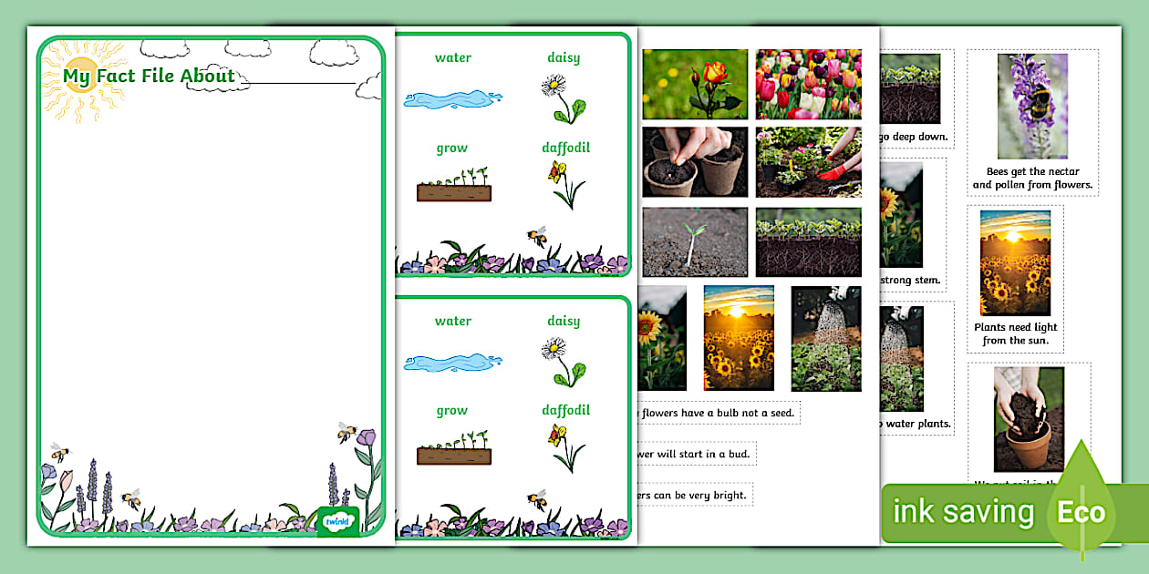 Build Your Own Fact File: Plants and Growing (teacher made)