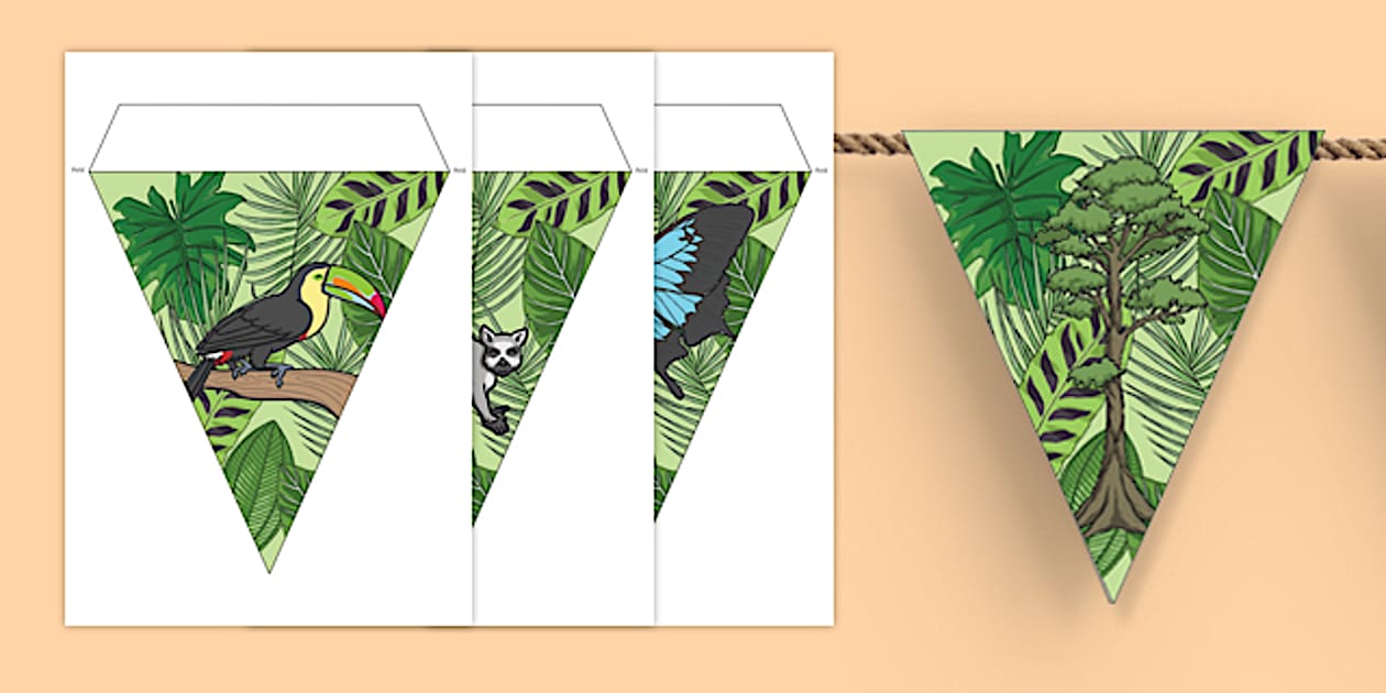 Rainforest-Themed Bunting (teacher made) - Twinkl