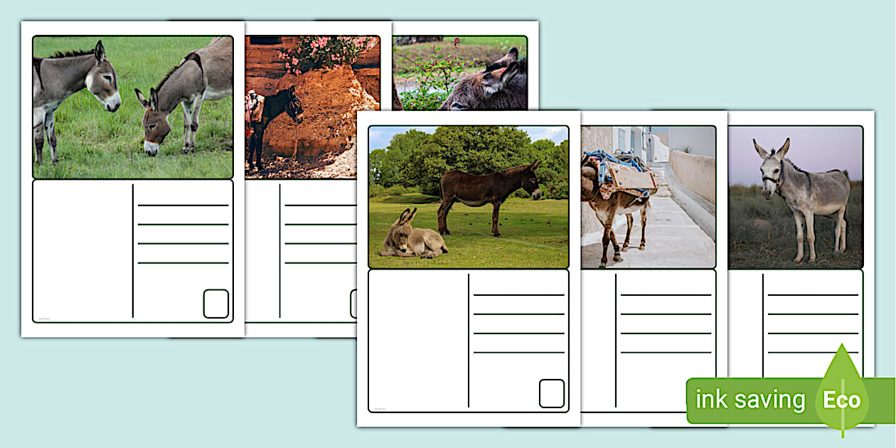 Donkey Themed Postcards | Donkey Postcards|Writing Postcards