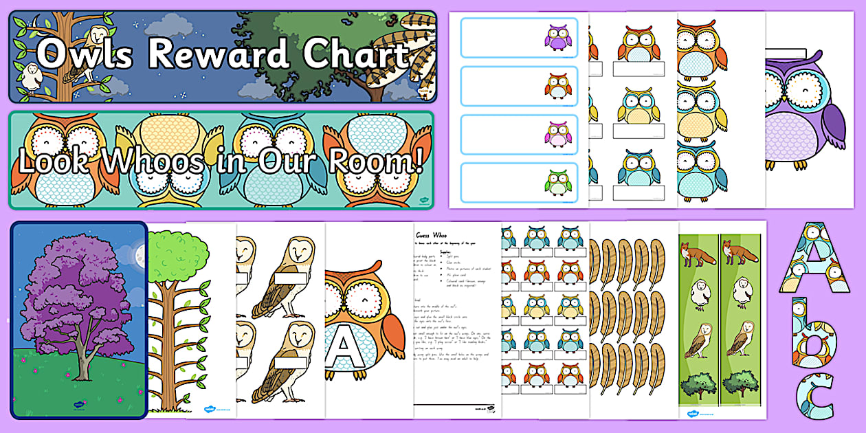 Classroom Set Up Owl Theme Display Pack (teacher made)