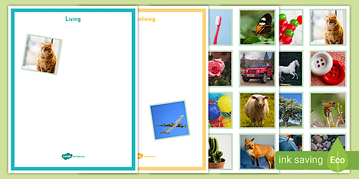 Pictures of Living and Nonliving Things for Kids | Science