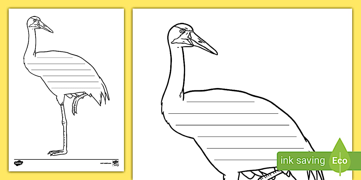 Crane Writing Template