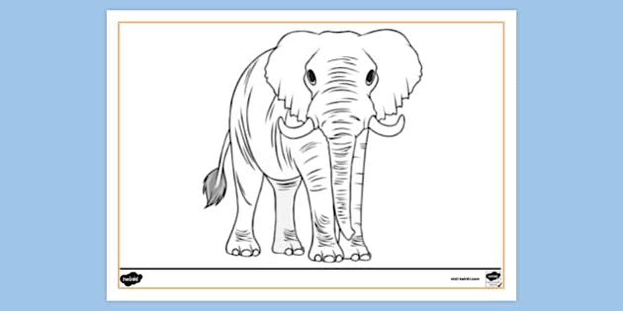 Elephant Colouring Sheet 6 | Colouring Sheets (teacher made)