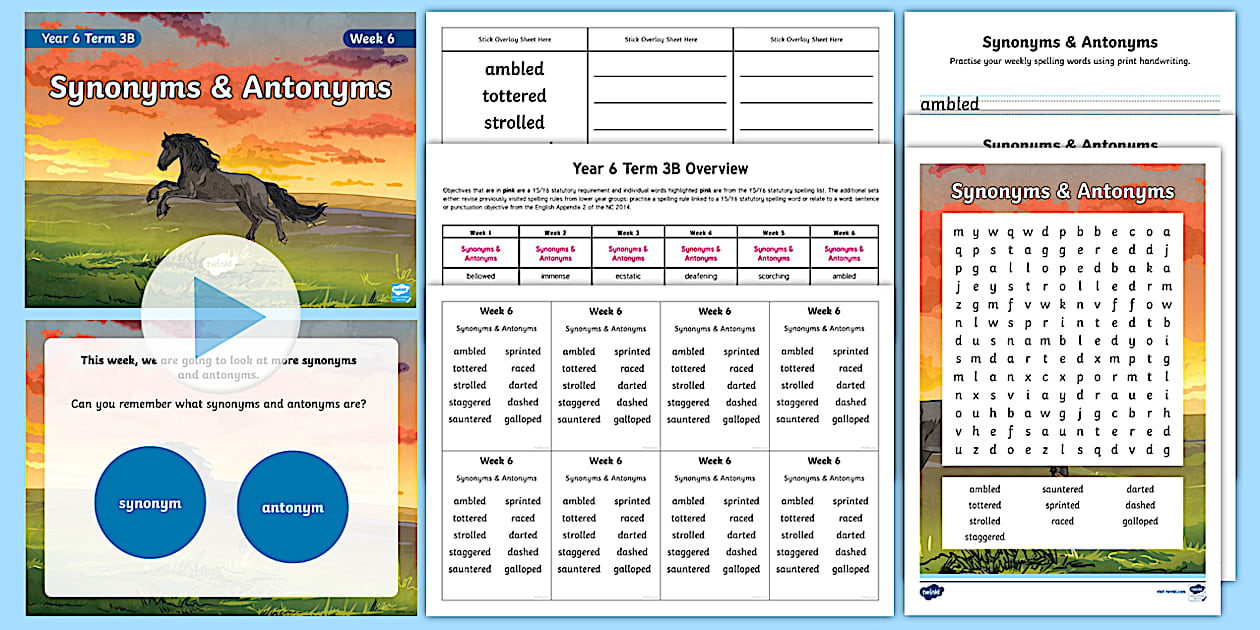 Year 6 Term 3B Week 6 Spelling Pack (teacher made) - Twinkl