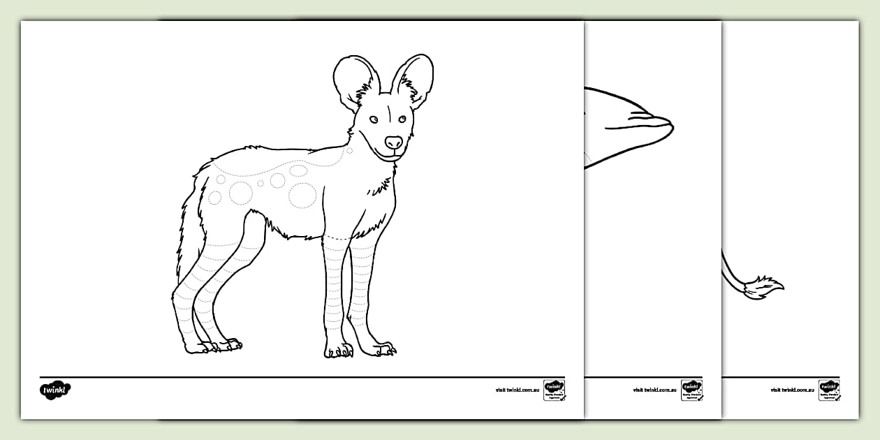 Animal Biodiversity Pattern Tracing (teacher made) - Twinkl