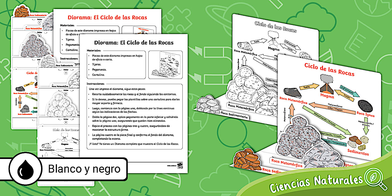 Diorama | Ciclo Rocas | Ígnea | Sedimentaria | Metamórfica