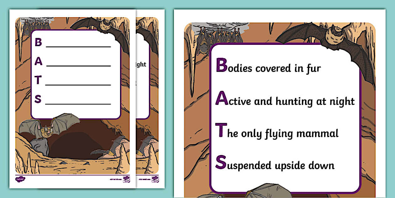 Bats Acrostic Poem Example - Writing (teacher made) - Twinkl