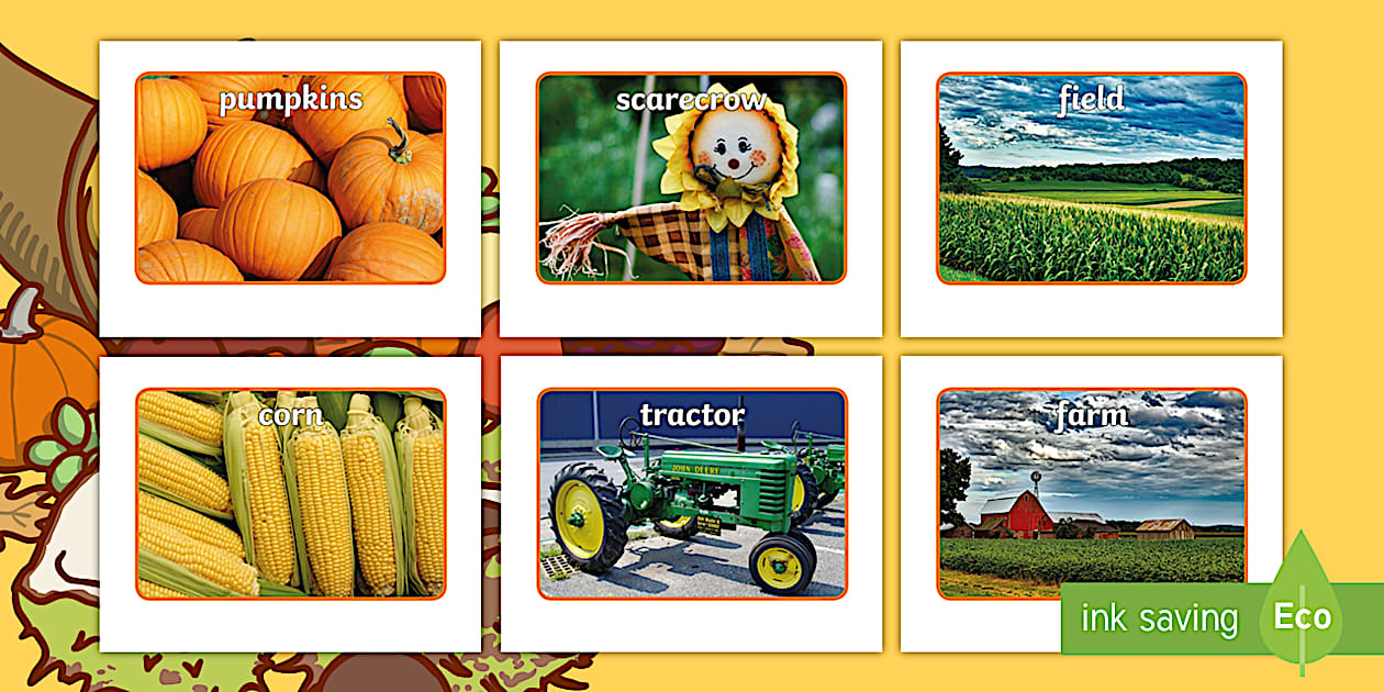 Harvest Festival Pictures - Photo Display Materials - Twinkl