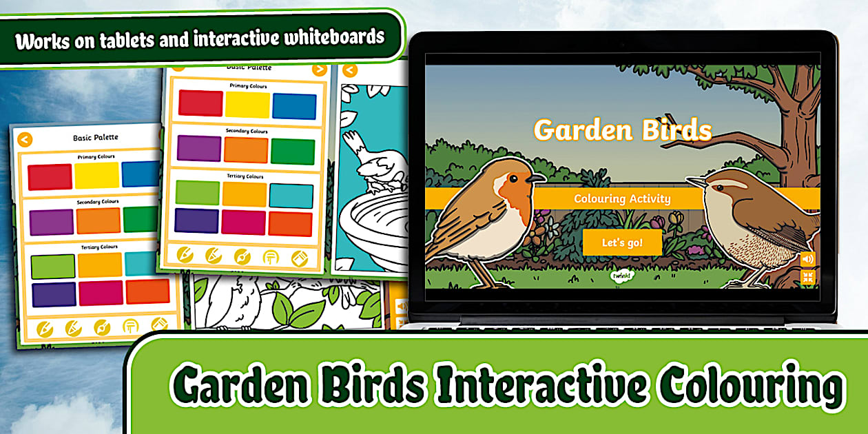 Garden Birds Interactive Colouring