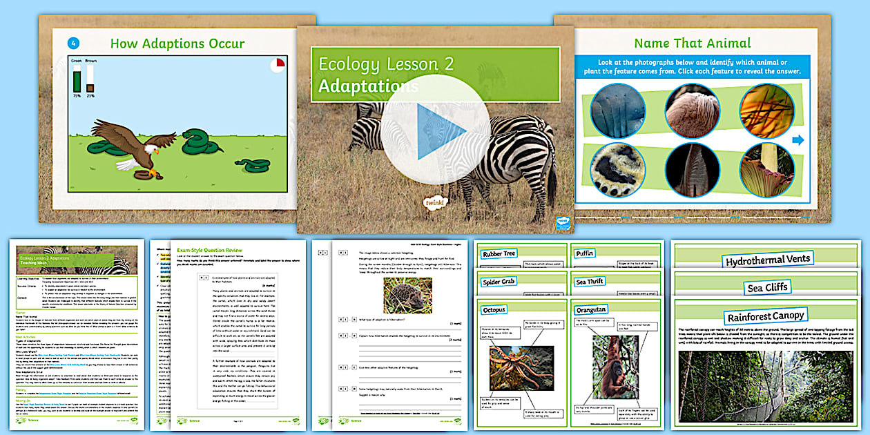 AQA GCSE Ecology: Adaptations | GCSE Biology | Beyond