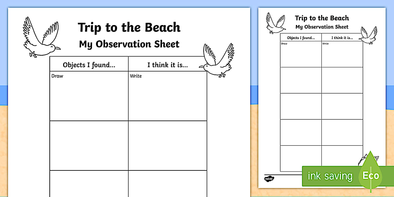 Beach Walk Observations Worksheet / Worksheet - Twinkl