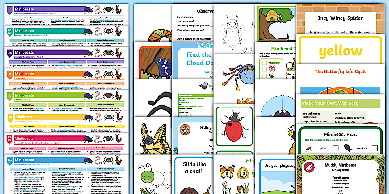 EYFS Minibeasts Activity Planning (Ages 2-4) (teacher made)