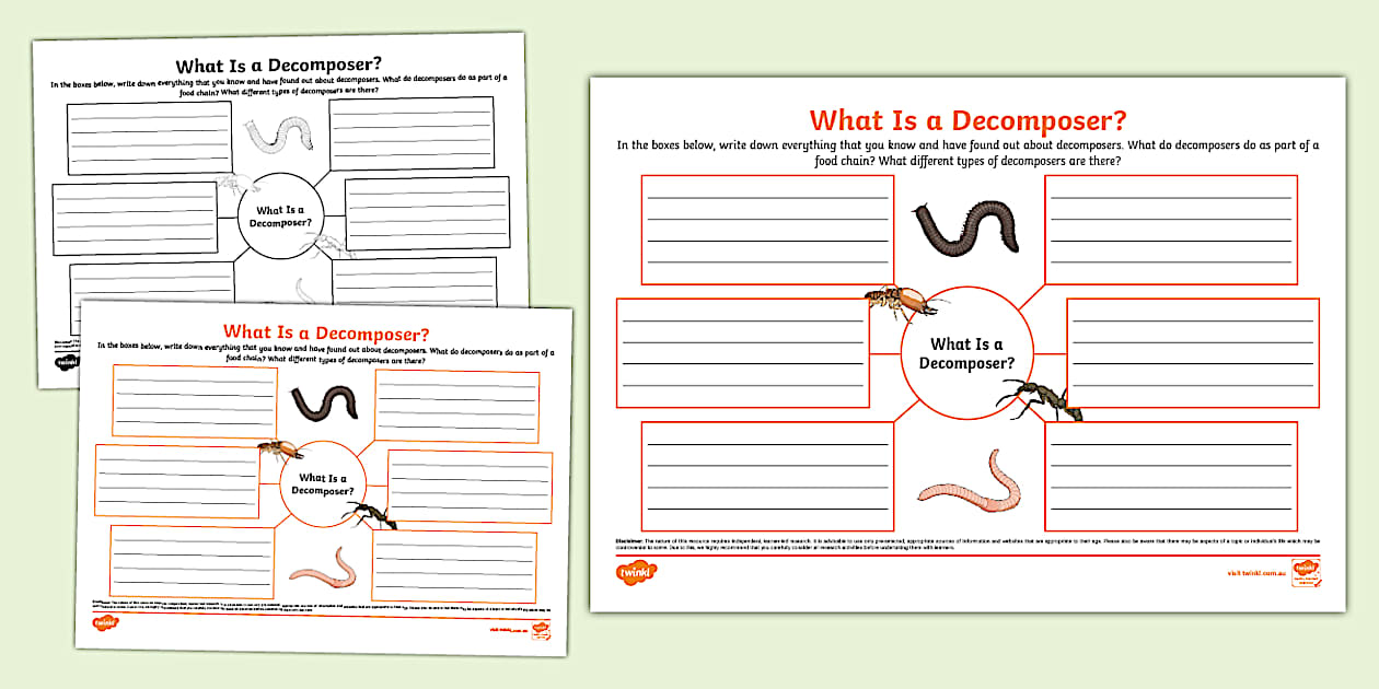 What Is a Decomposer? Mind Map (teacher made) - Twinkl
