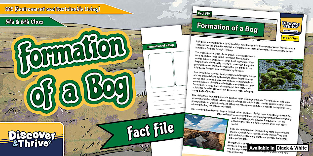 Formation of an Irish Bog Fact File