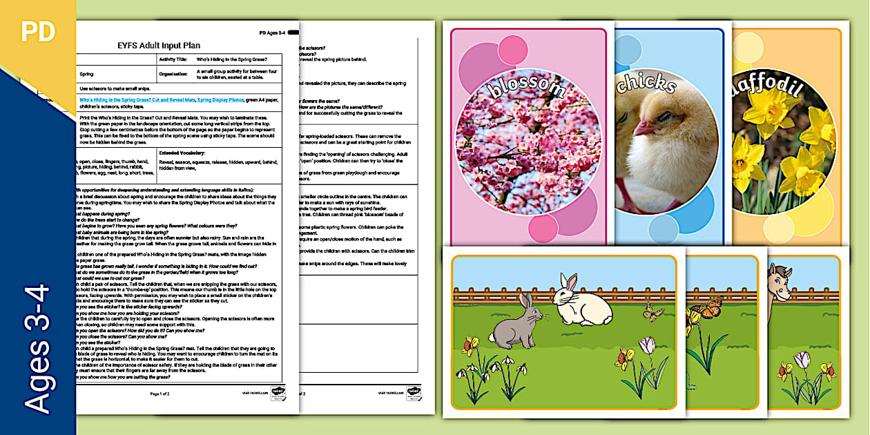 EYFS Who's Hiding in the Spring Grass? Adult Input Plan