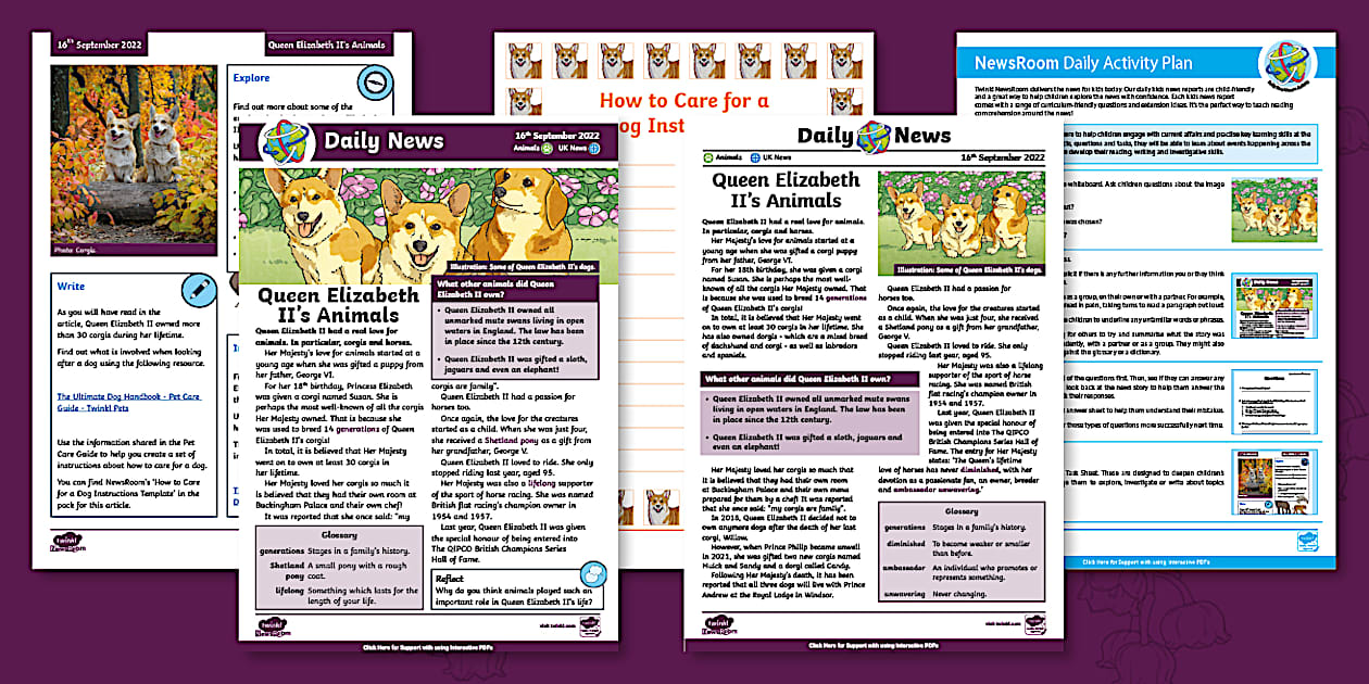 Queen Elizabeth II's Animals Daily NewsRoom Pack | Twinkl