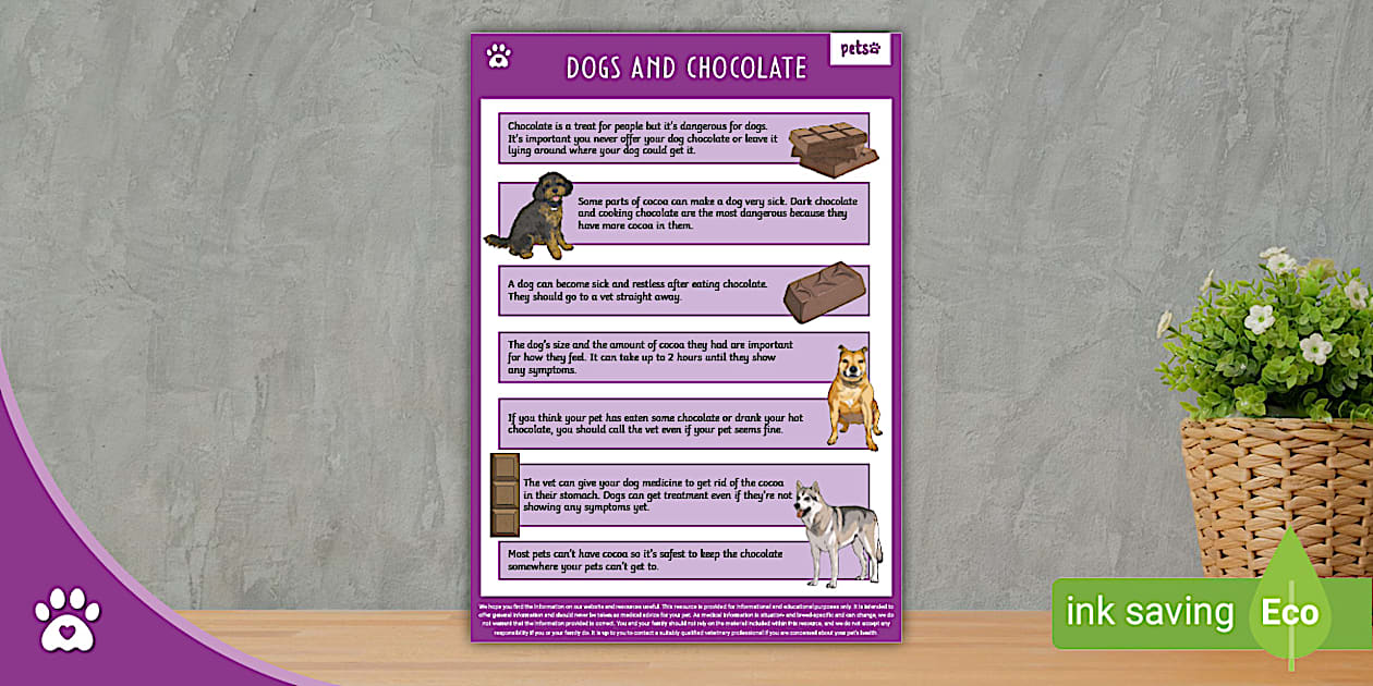 Dogs and Chocolate - Fact Sheet - Twinkl