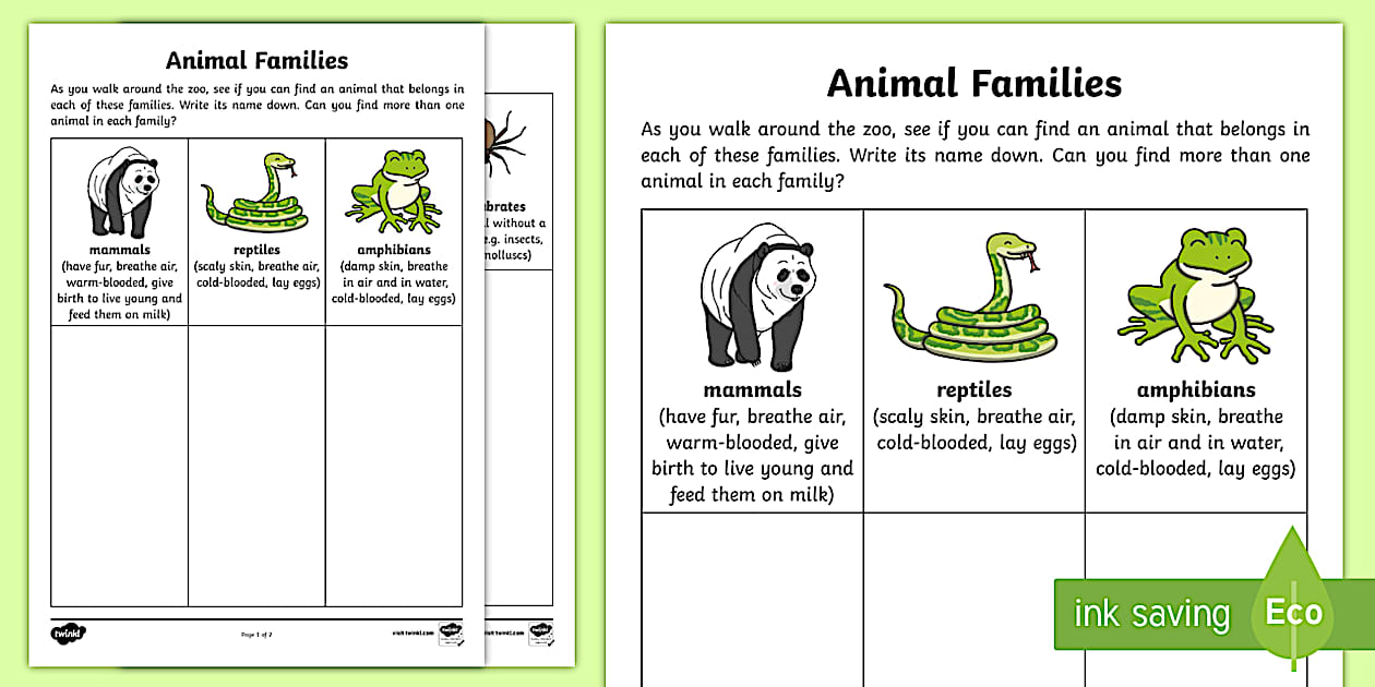 Animal Families Activity Sheet (teacher made) - Twinkl
