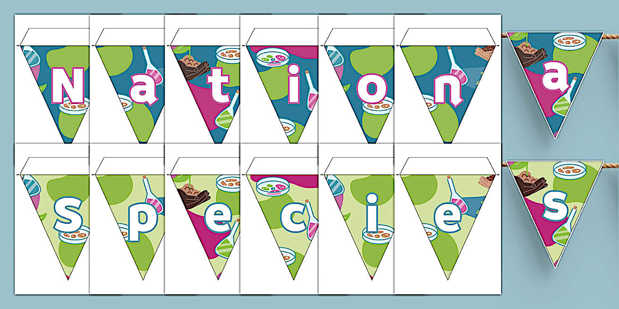 National Science Week Bunting (teacher made) - Twinkl