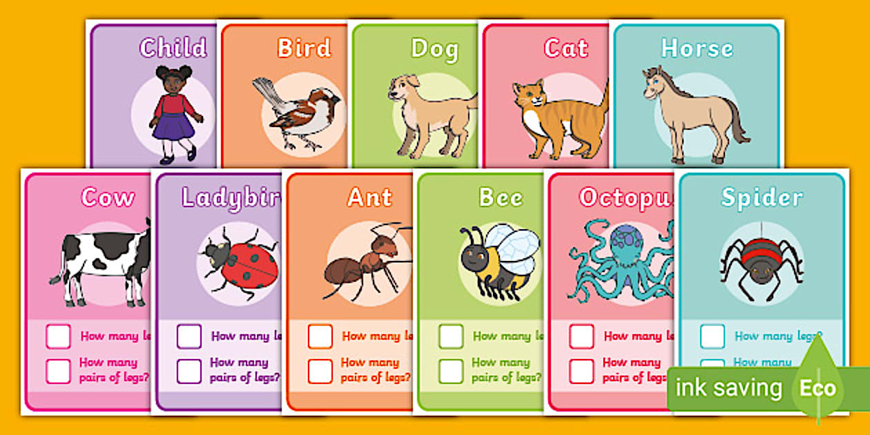 👉 How Many Pairs? Animal Legs Posters - Twinkl