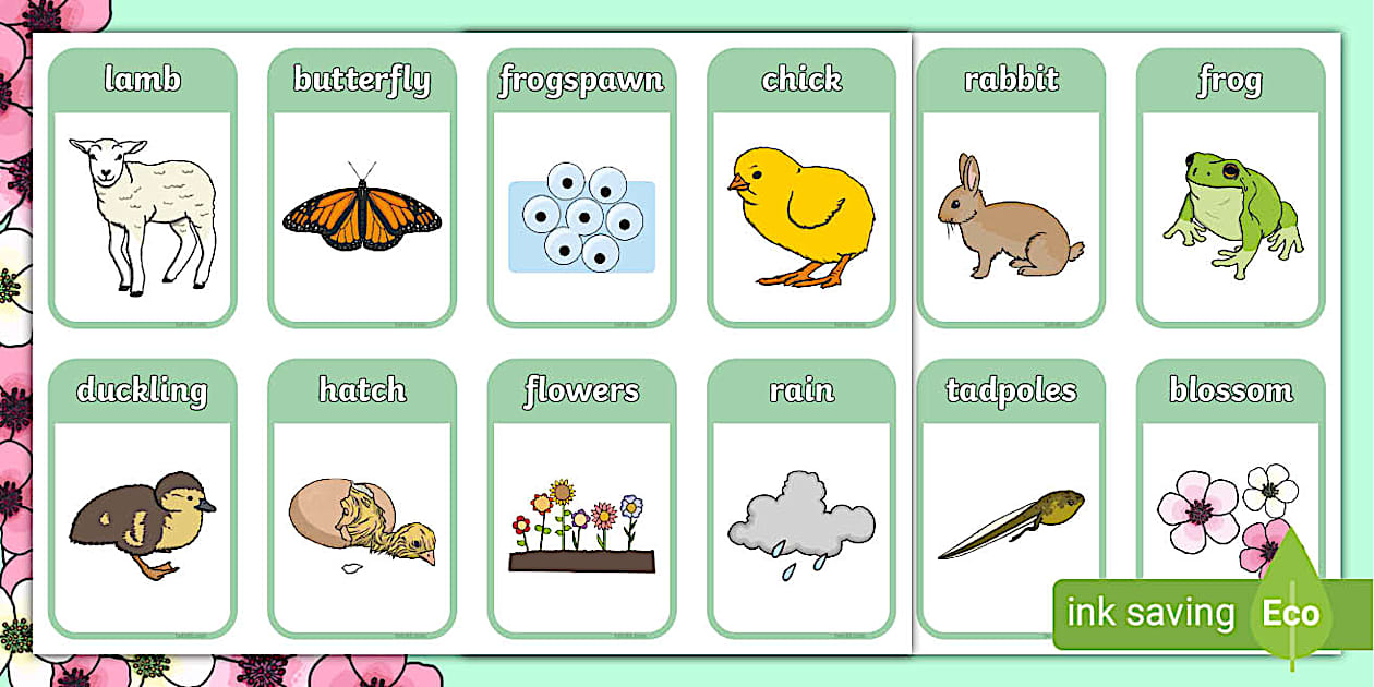 Spring Vocabulary Flashcards – Spring Pictures - Resource