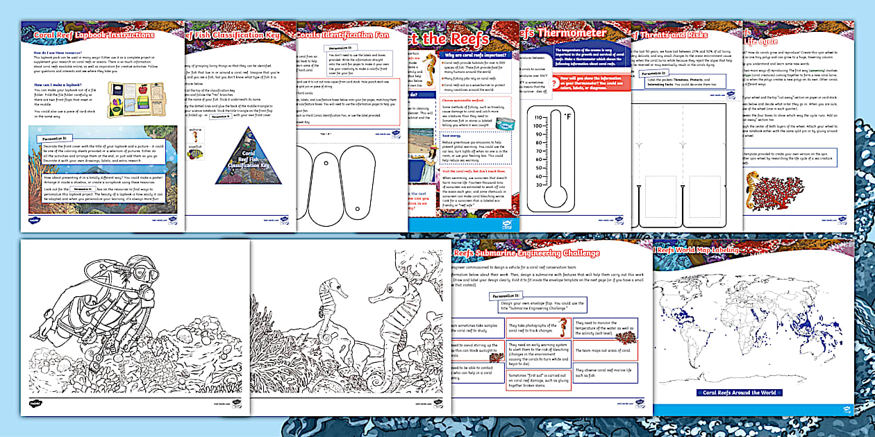 Ocean Biome Project Activities for Kids | Twinkl USA