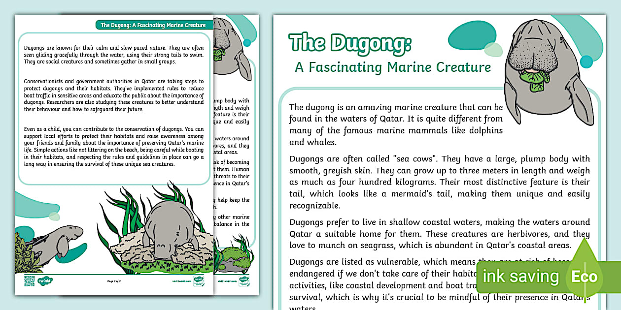 Dugong Fact File (teacher made) - Twinkl