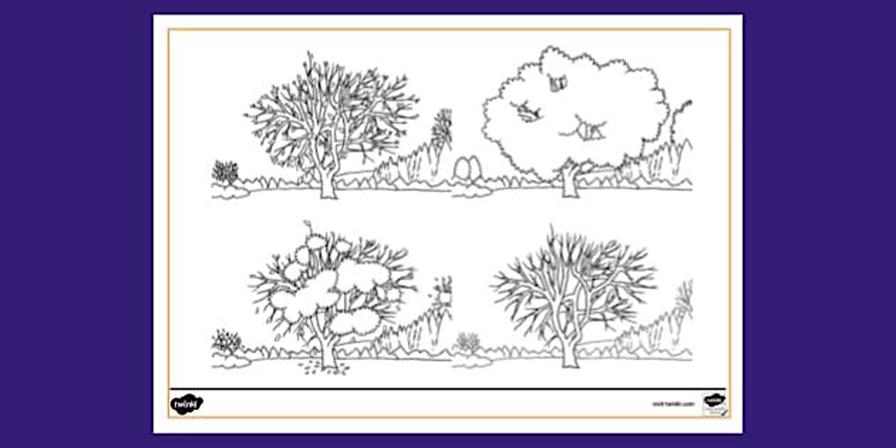 Seasons Diagram Colouring Sheet | Colouring Sheets - Twinkl