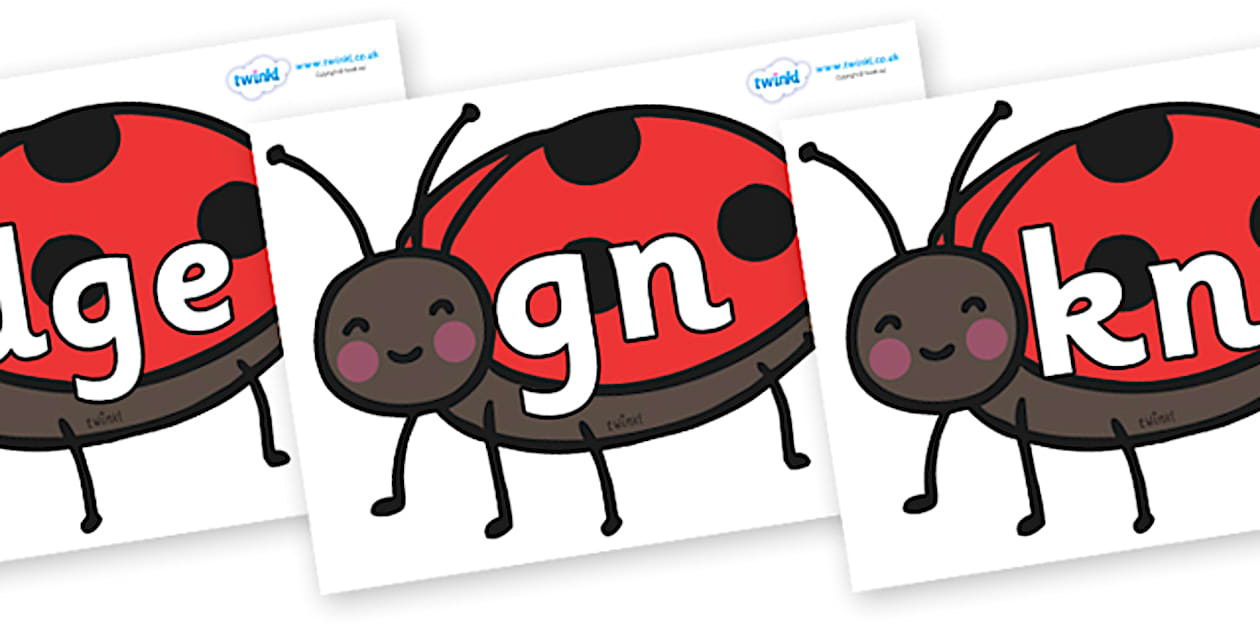 Silent Letters on Ladybirds (teacher made) - Twinkl