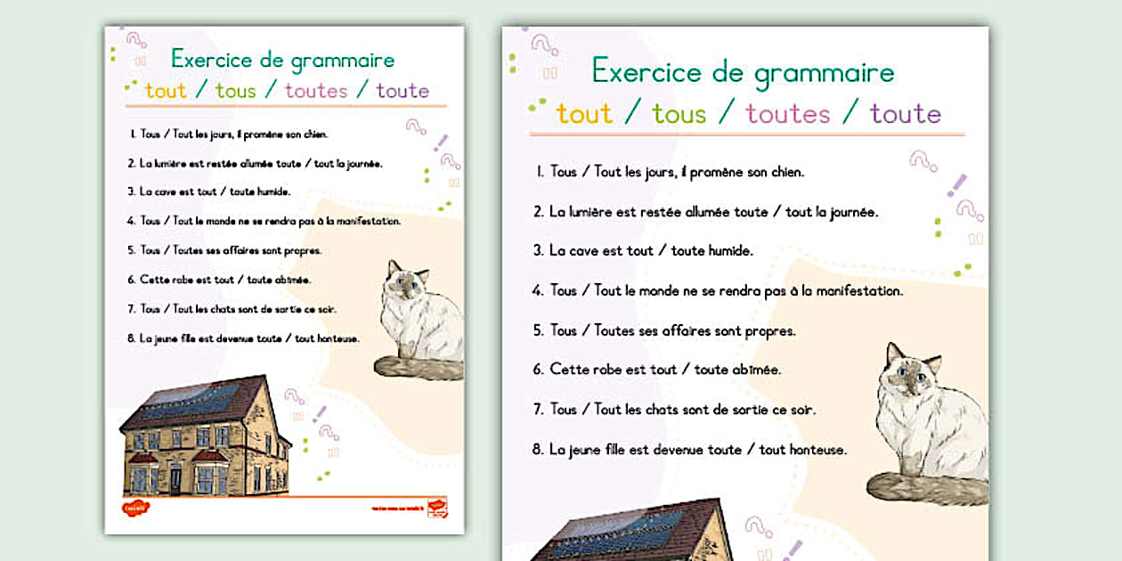 Exercice de grammaire tout / tous / toutes / toute - Twinkl
