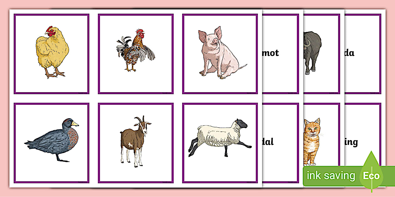 Animals Matching Cards Indonesian